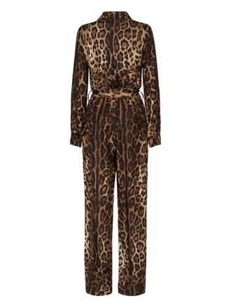 Dolce & Gabbana combinaison &agrave; motif l&eacute;opard - Marron
