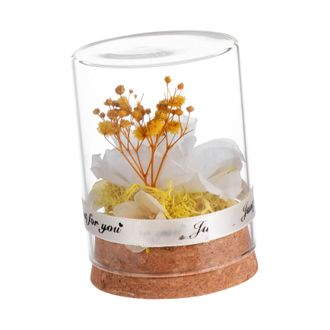 Cabilock Glasabdeckung Für Unsterbliche Blumen Kreative Rosenglaskuppel Lebendige Glasblumenabdeckung Zarte Glasblume Als Dekoration Geschenkidee Mit Glasblume