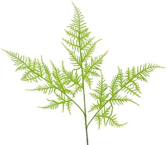 Decoris K&uuml;nstlicher Asparagus Zweig 85cm - Kunstzweig Zierspargel - Zweige Dekozweige - Kunstblumen Spargelfarn Hochzeitsdeko Fr&uuml;hlingsdeko Osterdeko - Gr&uuml;n