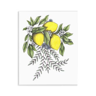Stupell Industries Lemons & Flowers Vintage-Skizzen-Wandschild, Design von Cecilia Battaini, 35,6 x 28,9 cm
