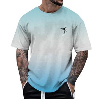 Generic T-shirt pour homme Printemps et &Eacute;t&eacute; Imprim&eacute; Tout Imprim&eacute; Manches Courtes Col Rond T-shirt Floral Mode Tendance Bottoming Shirt Tops, d, XXL