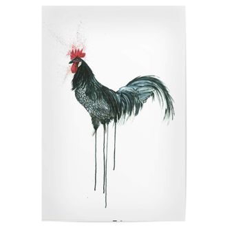 artboxONE Poster 75x50 cm Tiere Gockel mit Kamm hochwertiger Design Kunstdruck - Bild Tier Huhn Tier