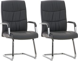 Clp 2er Set Freischwinger Caro mit Polsterung und Kunstlederbezug I Gepolsterte Konferenzstühle mit Armlehne, Farbe:grau