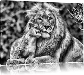 Pixxprint Monocrome, sch&ouml;ner L&ouml;we mit Jungtier, Gr&ouml;&szlig;e: 100x70cm, Leinwandbild, fertig gespannt, Wandbild, Dekoration, Kunstdruck, kein Poster