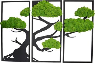 Generic Hello Moss Wanddeko Moosbilder Triptychon in Form Eines Bonsai-Baumes - Schön Aussehender Wand Baum - Wandbild aus Natürlichen Rohstoffen und Deko Moo
