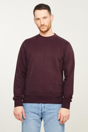 recolution Recolution Herren vegan Sweatshirt Tamarillo Dunkle Pflaume