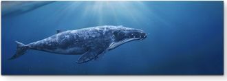 Paul Sinus Art Wandbild auf Leinwand 120x40cm Wal zwischen Himmel und Meer