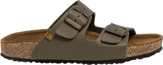 El Naturalista NE50 WARAJI