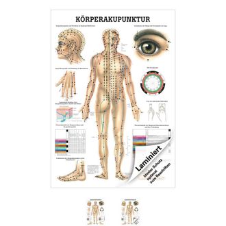 Sport-Tec Akupunktur Mini-Poster Anatomie 34x24 cm medizinische Lehrmittel