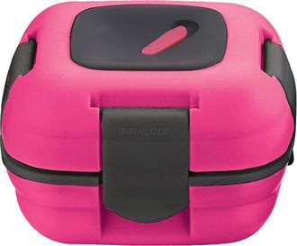 Pinnacle Frames & Accents Lunchbox, isoliert, auslaufsicher, für Erwachsene und Kinder - Thermo-Lunchbehälter mit neuem Wärmeablassventil, 473 ml, (Rosa)