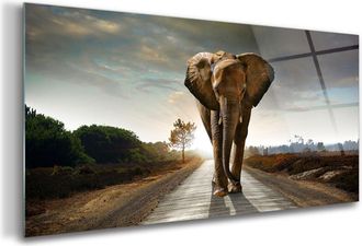 Tulup Tulup - Tableau sur verre - 100 x 50 cm - Tableau mural d&eacute;coratif - Verre D&eacute;corative - Coucher de Soleil Safari