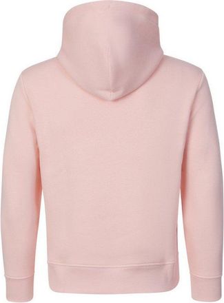 GANT Kapuzenpullover Shield Damen Hoodie, Pullover, Sweatshirt, Hoody, Langarmshirt