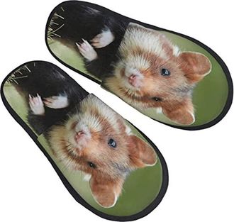 Generic Chaussons Femme Homme Hamsters Sur LHerbe Maison Pantoufles Chaude Pantoufles En Peluche Confortable Chaud Chaussons Pour Ext&eacute;rieur Int&eacute;rieur Voyager 