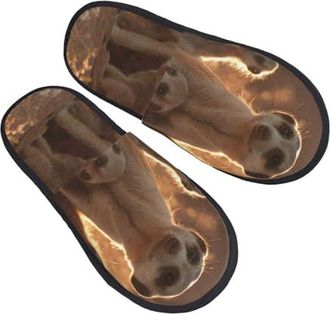 Generic Pantoufles DH&ocirc;tel Suricates Mignons Lavables Pantoufles De Maison Antid&eacute;rapant Chaussons DInt&eacute;rieur Pour Camping Chambre Voyage M