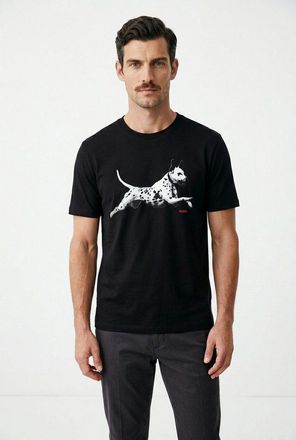 HUGO BOSS T-Shirt Dirunn Reine Baumwolle, Rundhalsausschnitt, Regular Fit