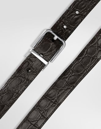 Dolce & Gabbana G&uuml;rtel Aus Kaimanleder - Mann Collection Braun 100