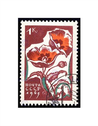 Wee Blue Coo POSTAGE USSR SOVIET STAMP PLANT FLOWER 1965 POPPY FRAMED ART PRINT B12X11055