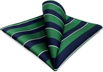 Shlax & Wing Shlax&Wing Rayures Homme Cravate Bleu Vert Classic Extra Long Nouveau Conception