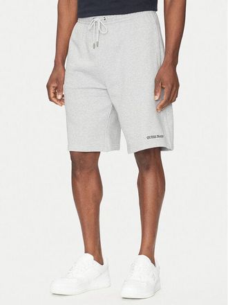 Guess Sportshorts M5GD49 KCPR1 Grau Regular Fit