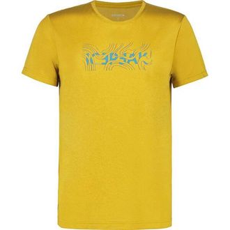 Icepeak Herren Shirt BEARDEN