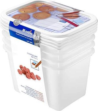 Rotho Domino 4er-Set Gefrierdose 1l mit beschreibbarem Motiv auf dem Deckel, lebensmittelechter Kunststoff (PP) BPA-frei, weiss, 4 x 1l (15.7 x 11.8 x 10.0 