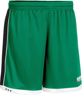 DERBYSTAR Hose Brillant Kurz, L, grün schwarz, 6001050420