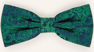 Paul Paul Fliege gruen