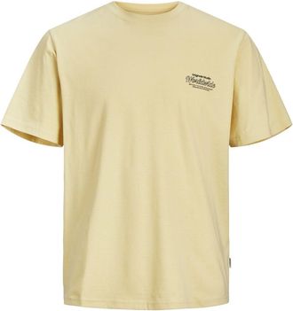 Jack & Jones Herren Rundhals T-Shirt JORSEQUOIA Back - Relaxed Fit S-XXL Cotton, Gr&ouml;&szlig;e:XL, Farbe:Silver Sage 12256718