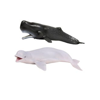 Amosfun 2 St&uuml;ck Wei&szlig;wal Modell Aus Kunststoff Realistische Meerestier Figur F&uuml;r Kinder Lernspielzeug Und Heimdekoration