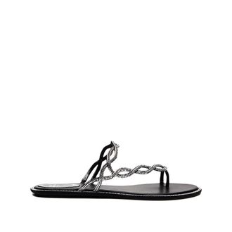 Rene Caovilla Schwarze Riemchensandalen - - Shoes - Damen - Schwarzk - 37 EU