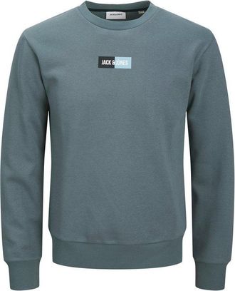 Jack & Jones Sweater JJPAN SWEAT CREW NECK