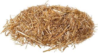 F&eacute;&eacute;ric Lights & Christmas Deko-Stroh f&uuml;r krippe 50 gr