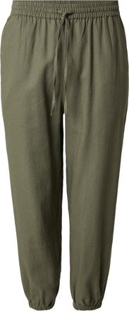 Dan Fox Apparel Hose Gino