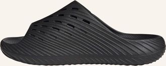 adidas Purechill Slides schwarz