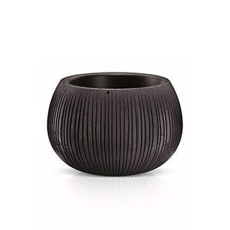 Prosperplast Bowl Plastik mit schwarzer Zement Farbablagerung, 11 (gro&szlig;) x 14,4 (Breite) x 14,4 (tief) cms