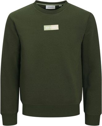 Jack & Jones Sweater JJPAN SWEAT CREW NECK
