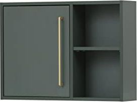 Schildmeyer Kent Hängeschrank 151117, waldgrün/Gold, 66,8 x 16 x 48,4 cm