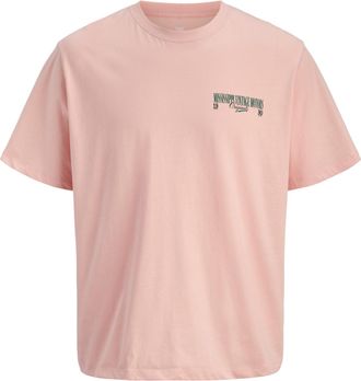 Jack & Jones T-Shirt JORWATERCOLOUR