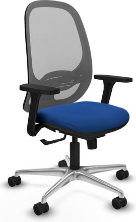 Piqueras y Crespo Telearbeitsstuhl mit 3D-Armen, h&ouml;henverstellbare Lendenwirbelst&uuml;tze, ausgestattet mit 3 Positionen und Schneidschaum, mit Rollen von 65 mm, Nylon, Gra