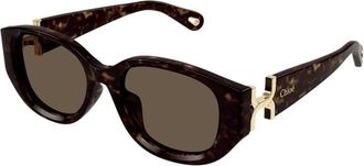 Chlo&eacute; Femme, Accessoires, Brun, Taille: 54 MM Lunettes de soleil Cat Eye
