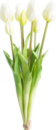 Botanic-Haus k&uuml;nstliches Tulpenb&uuml;ndel/k&uuml;nstlicher Tulpenbund Sandy lang mit 4 Tulpen und 3 Tulpenknospen Farbe: Creme-wei&szlig; real Touch