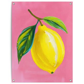 Reinders Gartendeko, Lemon on Pink, Garten, Bilder, Wanddeko, Room Decor, Leinwand, Gelb, 80 x 60cm