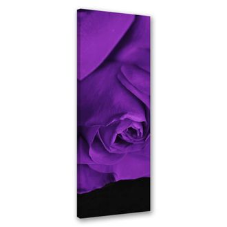 Feeby Bild auf Leinwand Rose Kunstdruck modern abstrakt Violett 30x90 cm