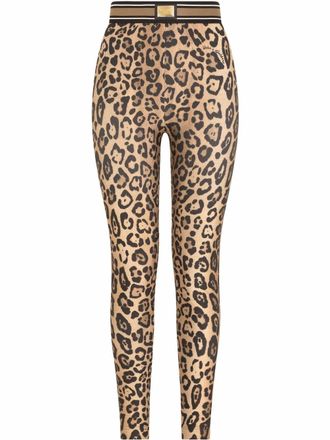 Dolce & Gabbana Leggings mit Leoparden-Print - Braun