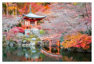Wallario selbstklebendes Poster - Japanischer Herbstzauber, Aufkleber in Premiumqualit&auml;t, Klebefolie Gr&ouml;&szlig;e: 61 x 91,5 cm (Maxiposter)
