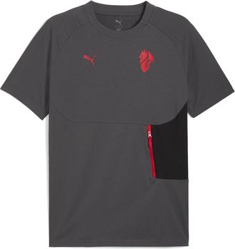 Puma T-shirt avec poche PUMATECH AC Milan Homme, Accessoires, Gris, XXL