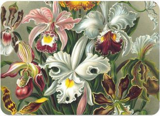 Fabulous Platzsets, weiche Unterseite aus Kork, Deckchen, Orchidee, Blumen, Botanik, Gravur, antikes Design, groß, 39,5 x 28,5 cm, 4 Stück