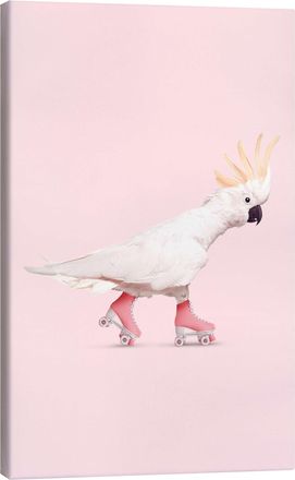 Posterlounge Rollerskating Kakadu Leinwandbild von Jonas Loose 40 x 60 cm Pastell Wandbilder Wanddeko