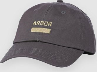 Arbor Surplus Cap faded black