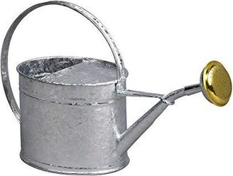 Guillouard 80320 Gießkanne, grau, neutral